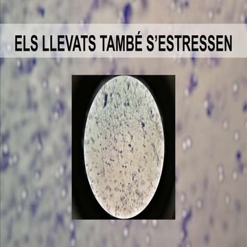 Els llevats també s'estressen | PPTX