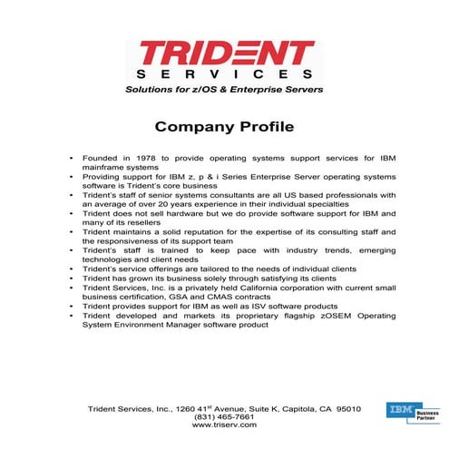 Trident Company Profile | PDF