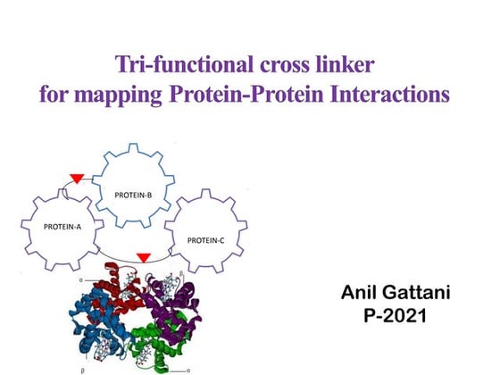 Research Summary | PDF