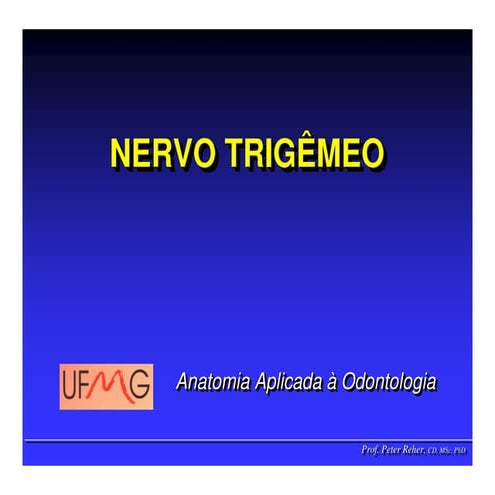 Trigemeo | PDF