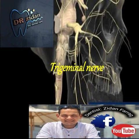Trigeminal | PPTX | Ear, Nose and Throat Conditions | Diseases and ...