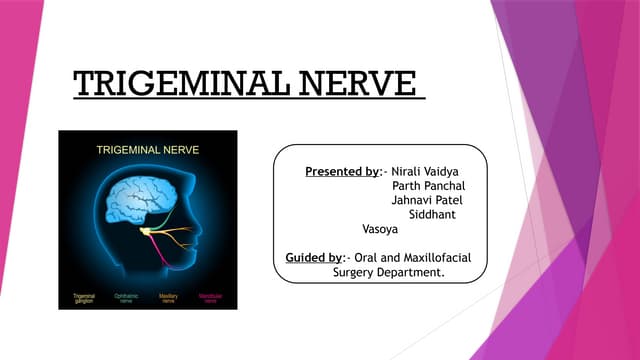 Nerve supply of face & applied | PPTX