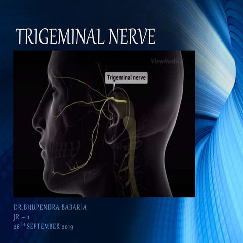Trigeminal nerve | PPTX