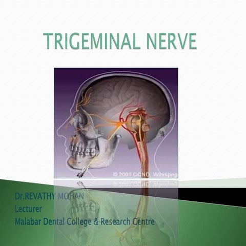 Trigeminal Nerve | PPTX