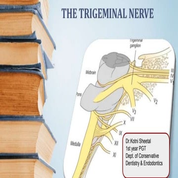 Trigeminal nerve | PPTX