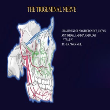 Trigeminal nerve and its course | PPTX