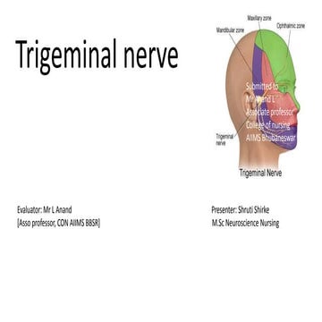 Trigeminal nerve cranial nerve | PPTX