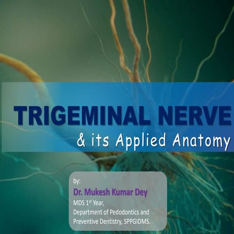 Trigeminal Nerve & its Applied Anatomy | PPTX