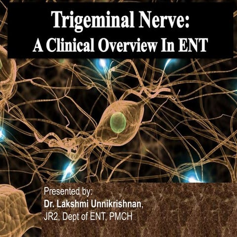 Trigeminal nerve: A clinical overview in ENT | PPTX