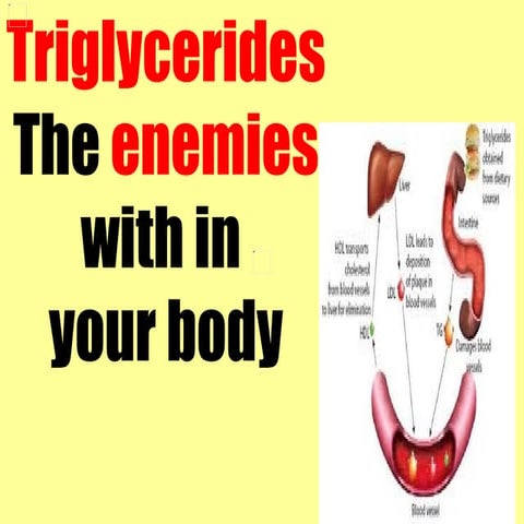 Triglycerides - The Enemies within your Body | PPT