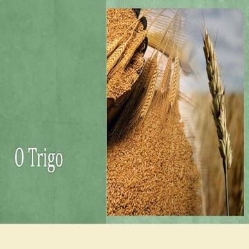 Trigo | PPTX