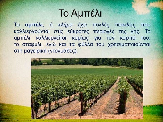κανονες ταξης | PDF