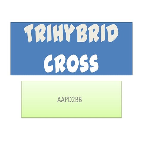 Trihybrid cross | PPTX