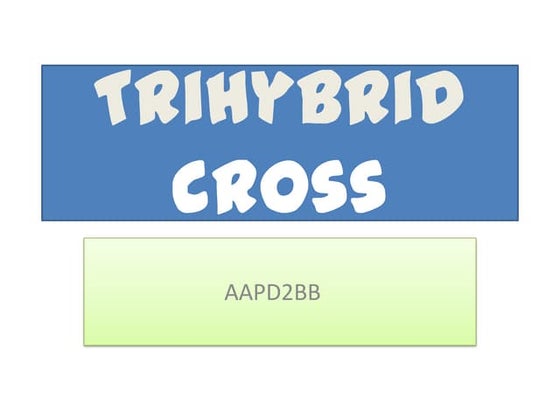 Genetic trihybrid cross | PPT | Genetics | Science