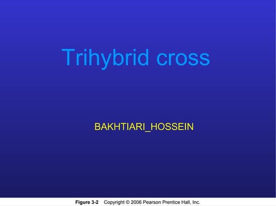 Genetic trihybrid cross | PPT | Genetics | Science