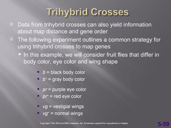 Genetic trihybrid cross | PPT | Genetics | Science
