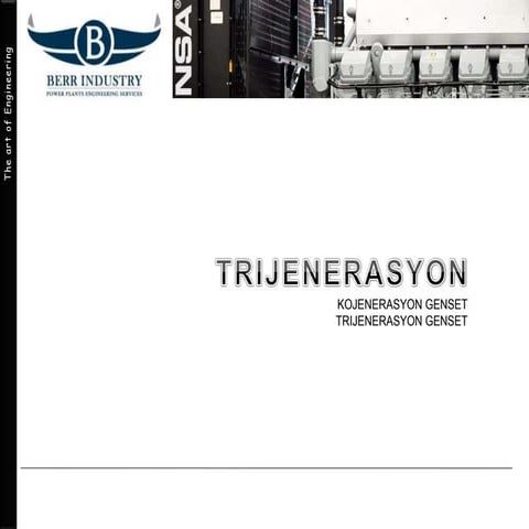 TriGenerasyon Projesi / Tri-Generation Project | PPSX