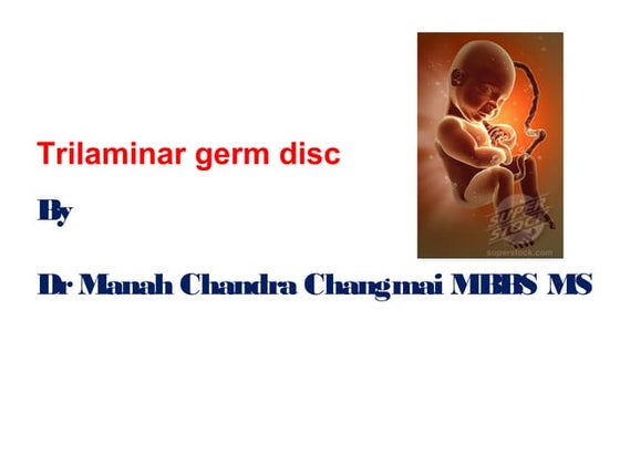 Trilaminar germ disc (week 3 embryology) | PPTX