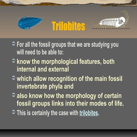 Trilobites BY YU, WELFREDO L. | PPT
