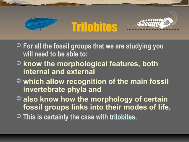 Trilobite: Hard & soft part Morphology, Evolution and Mode of Life | PPTX