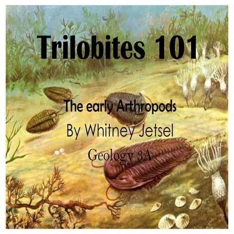 Trilobites 101 | PPTX