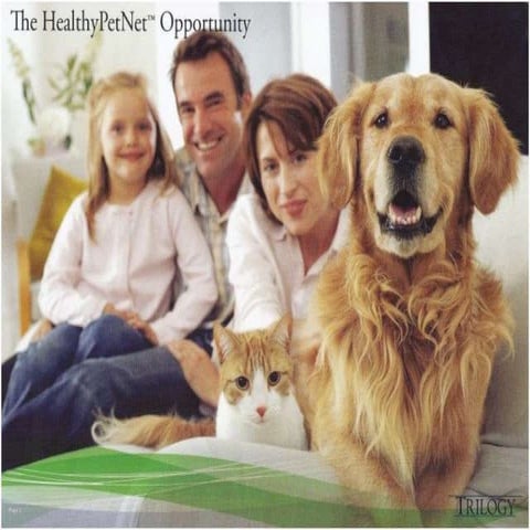 Trilogy Business Presentation | PPTX