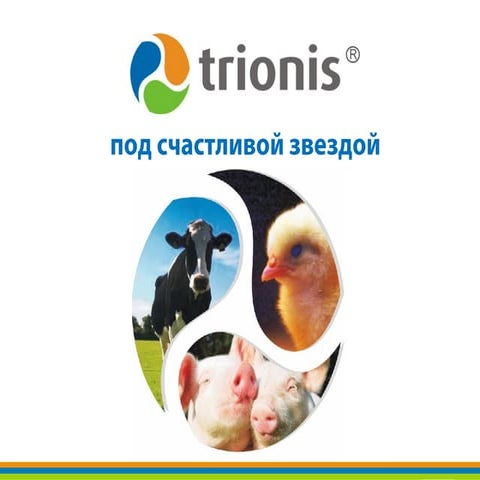 Агропромышленная компания Трионис | PPT