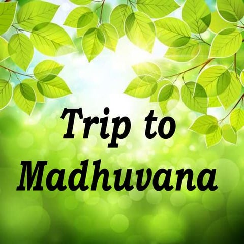 Trip to Madhuvana | PPT