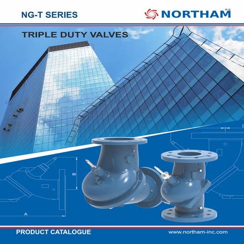 Triple Duty Valves Supplier in the USA – Notham Inc | PDF