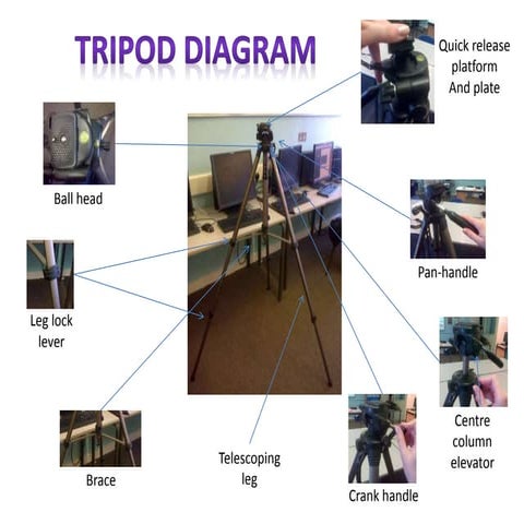 Tripod Diagram | PPTX