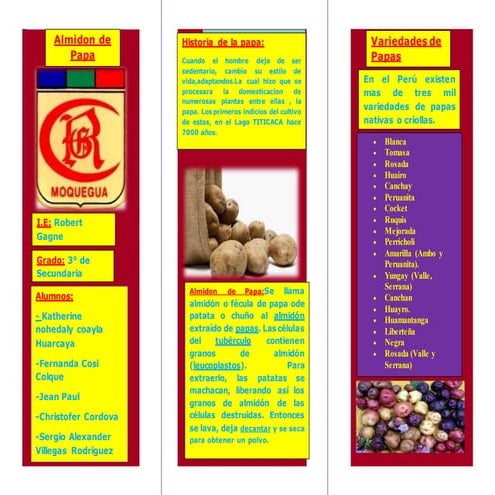 LA PAPA.pdf tríptico para el día de La papa | PDF