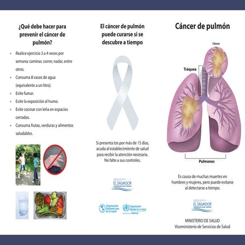 triptico-cancer-de-pulmon.pdf