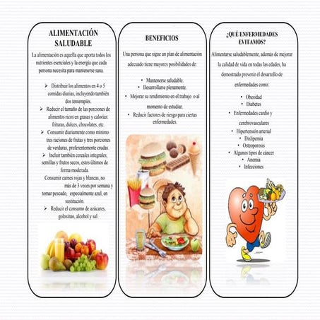 Concepto De Dieta Salud Dieta Vegana Saludable 🥑 TODO Sobre