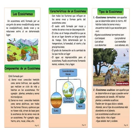 Ecosistema Terrestre Para Niños