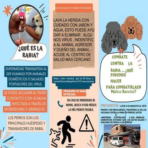 Modelo Del Virus De La Rabia Virus De La Rabia Modelo 3D Descargar