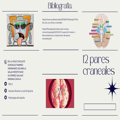 Tríptico 12 pares craneales.pdf