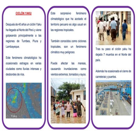 TRIPTICO (3).docx