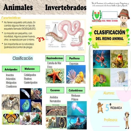 Vertebrados E Invertebrados