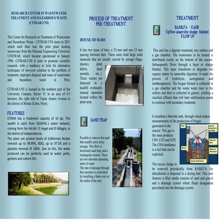 Triptico citrar ingles | PDF