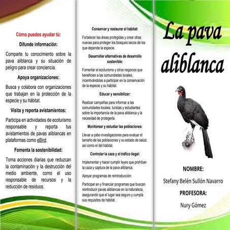 Triptico sobre la Pava Aliblanca .docx