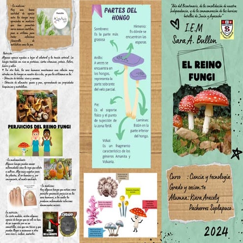 Nutricion del reino fungi | PDF