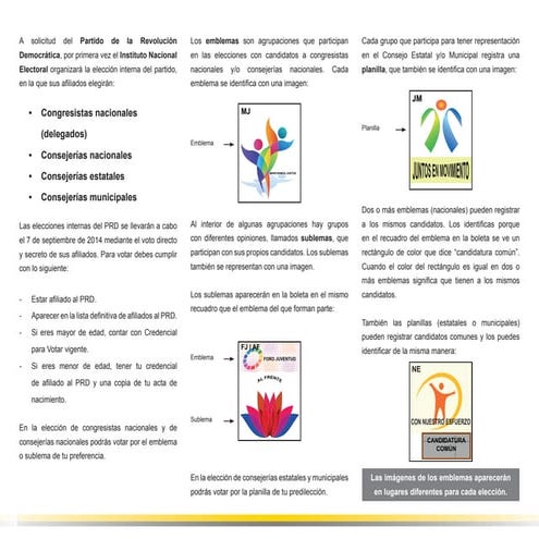 Triptico informativo votaciones internas | PDF