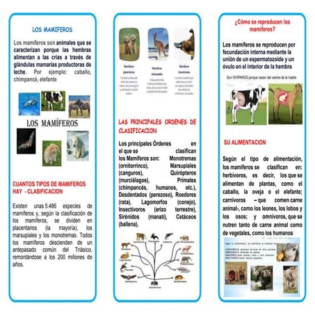 TRIPTICO LOS MAMIFEROS - 23.doc