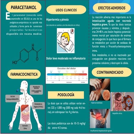 En qué tiempo hace efecto el paracetamol foto - Blackdragontours.com