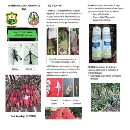 CONTROL DE CARMENTA | PDF