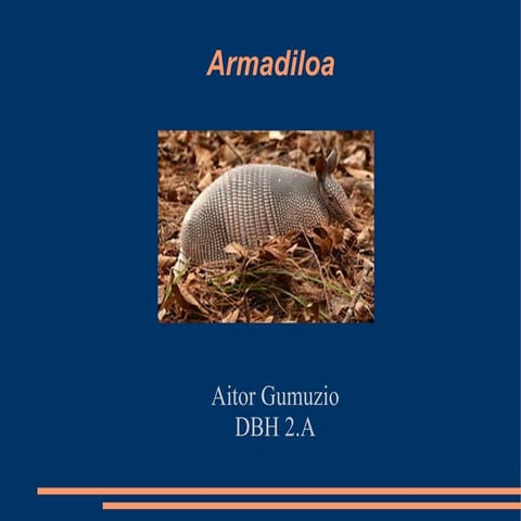 Triptiko del armadillo | PPT