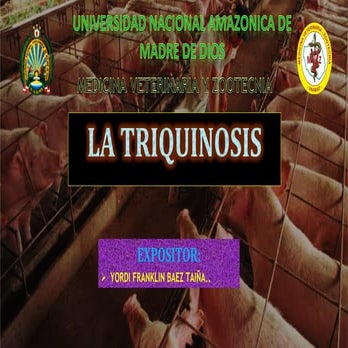triquinelosis todo lo que necesitas saber | PPTX