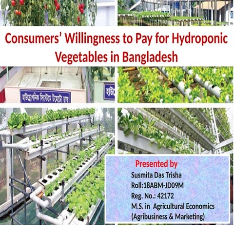 TRISHA Agribusiness THESIS PRESENTATION 30 Jan.pptx