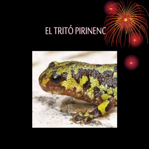 El Tritó | PPT