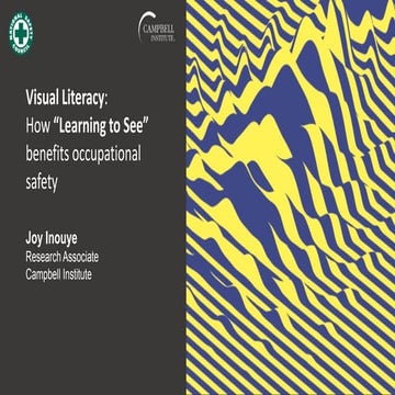Visual Literacy: How "Learning to See" Benefits Occupational Safety | PDF